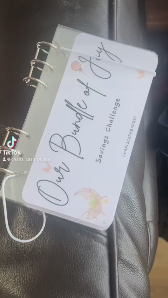 Our Bundle of Joy Binder – Charl's Cash Budget